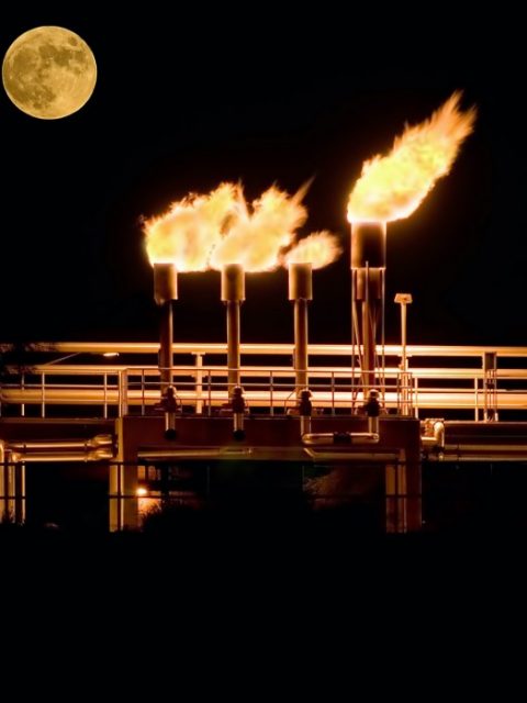 Bio-Gas Utility Flare System | Encore Combustion