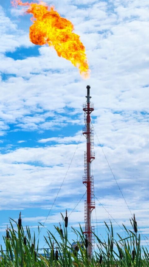 Elevated Flares - Gas Assisted Flares VaporClear Series